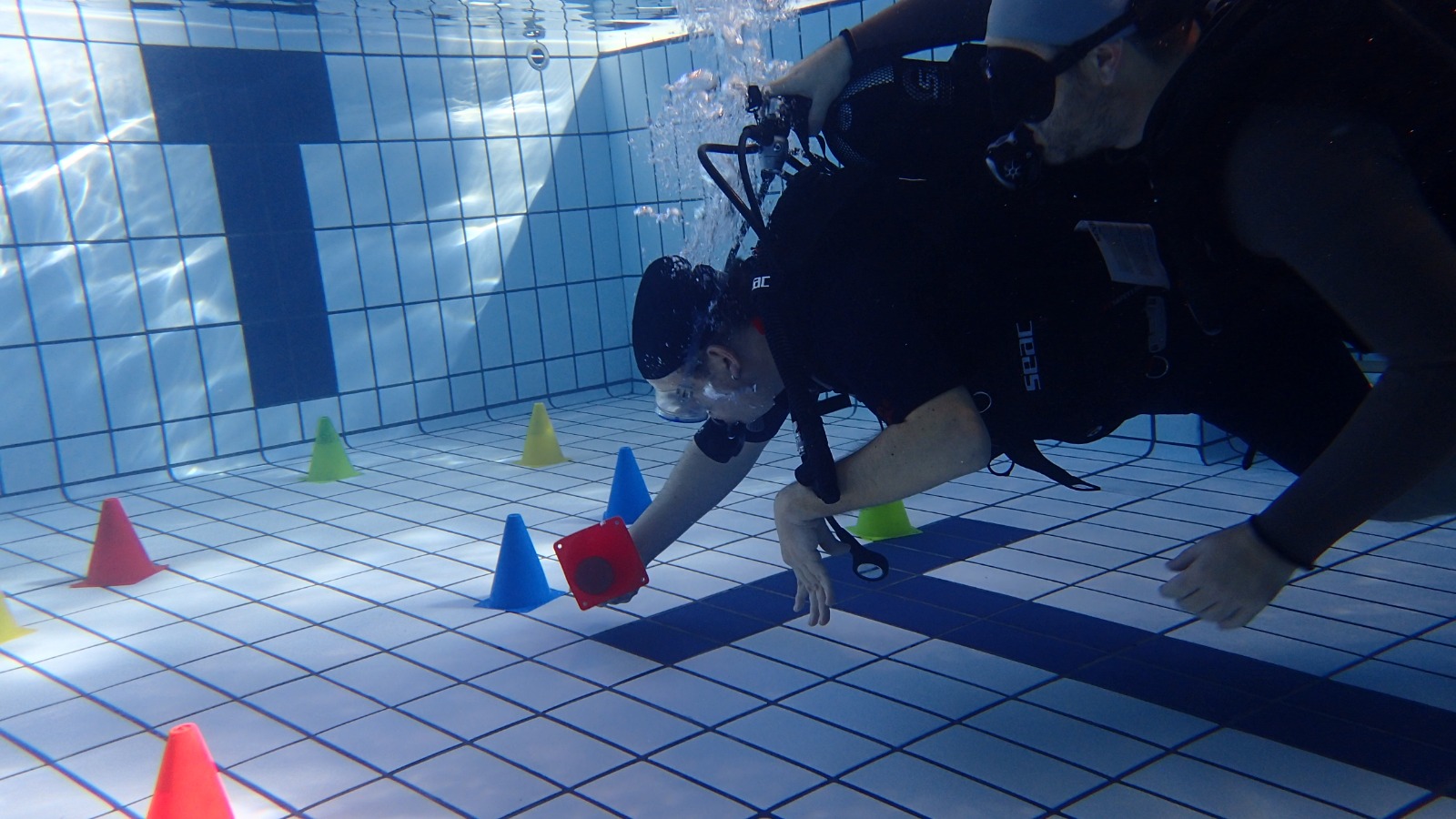 EL BUCEO INCLUSIVO, A DEBATE - FEDAS
