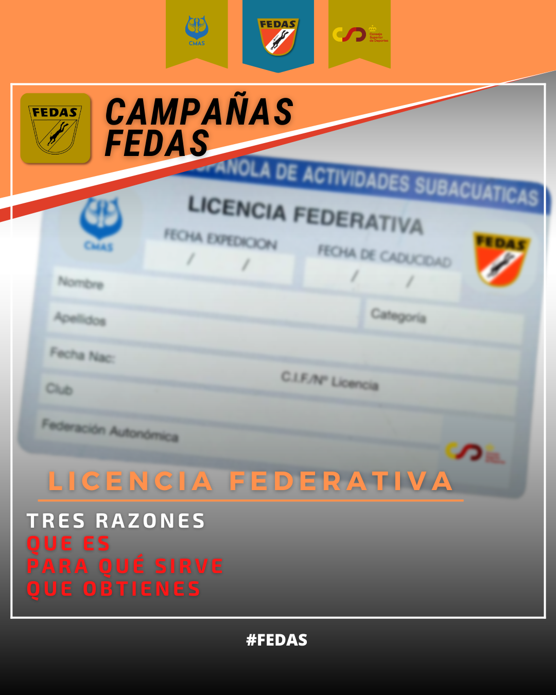 LICENCIA FEDERATIVA, FEDAS ¿Qué es? - FEDAS