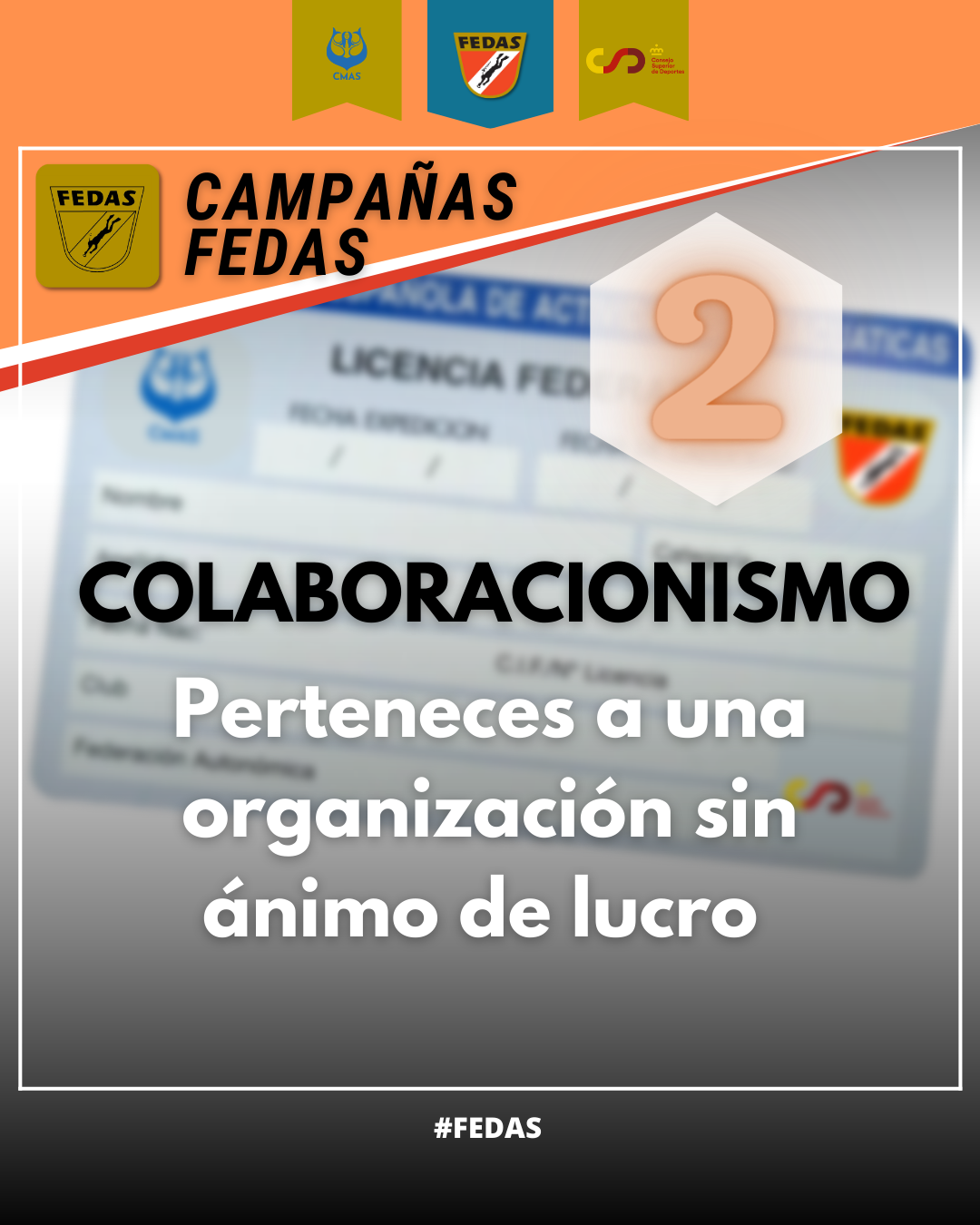 LICENCIA FEDERATIVA, FEDAS ¿Qué es? - FEDAS