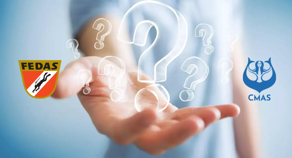 CURSO DE BUCEO “Todas las Respuestas” - FEDAS